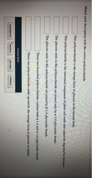 Solved Match each description with the correct | Chegg.com