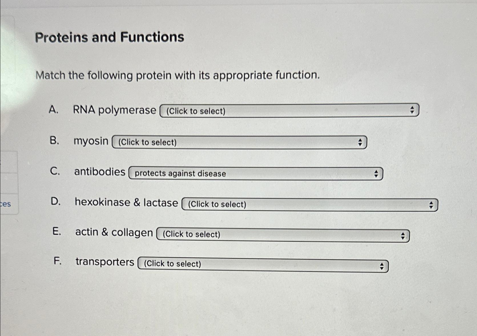 Solved Proteins and FunctionsMatch the following protein | Chegg.com