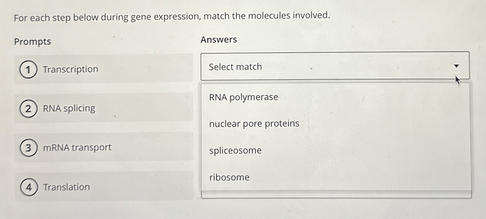 Solved For each step below during gene expression, match the | Chegg.com