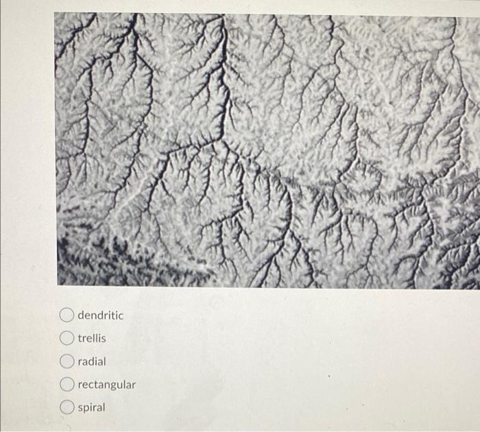 Solved dendritic trellis O radial rectangular spiral | Chegg.com