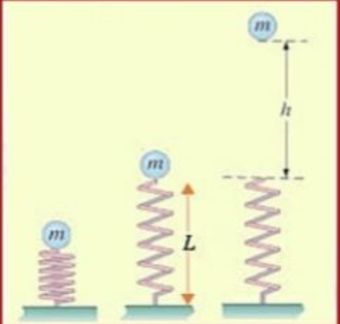 Solved A vertical spring with 1200. ﻿N/m spring constant and | Chegg.com