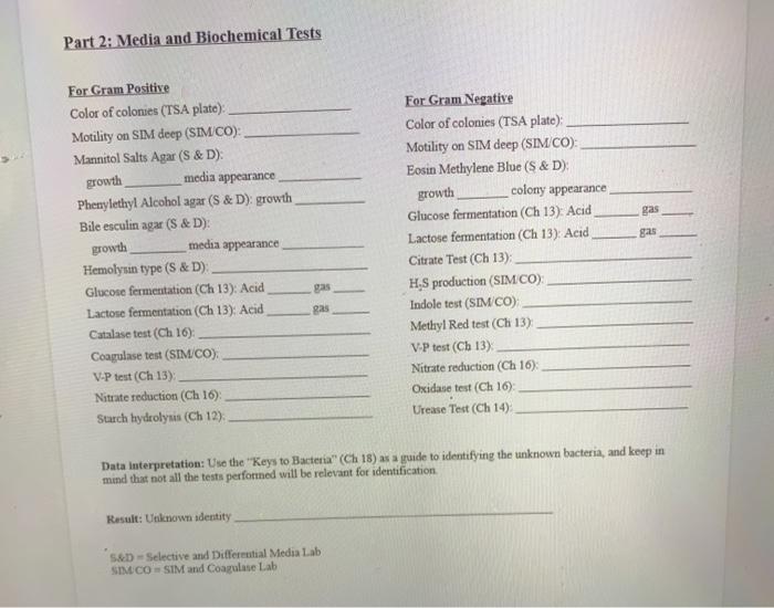 Solved Name: Unknown Bacteria Data Sheet Unknown # Your | Chegg.com