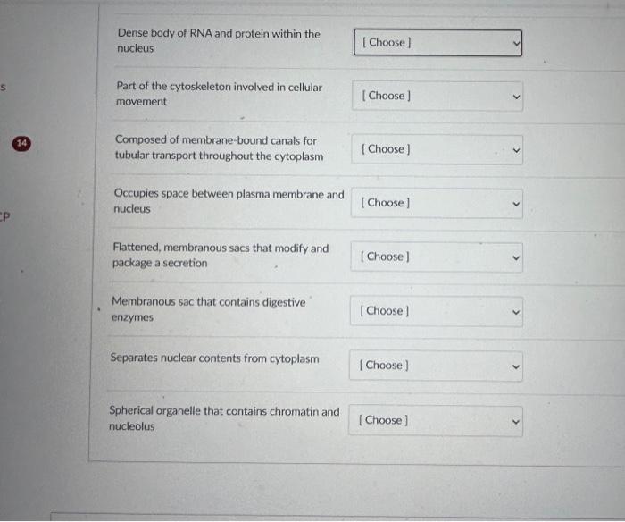 Solved Question 2 Match the cellular components with the | Chegg.com