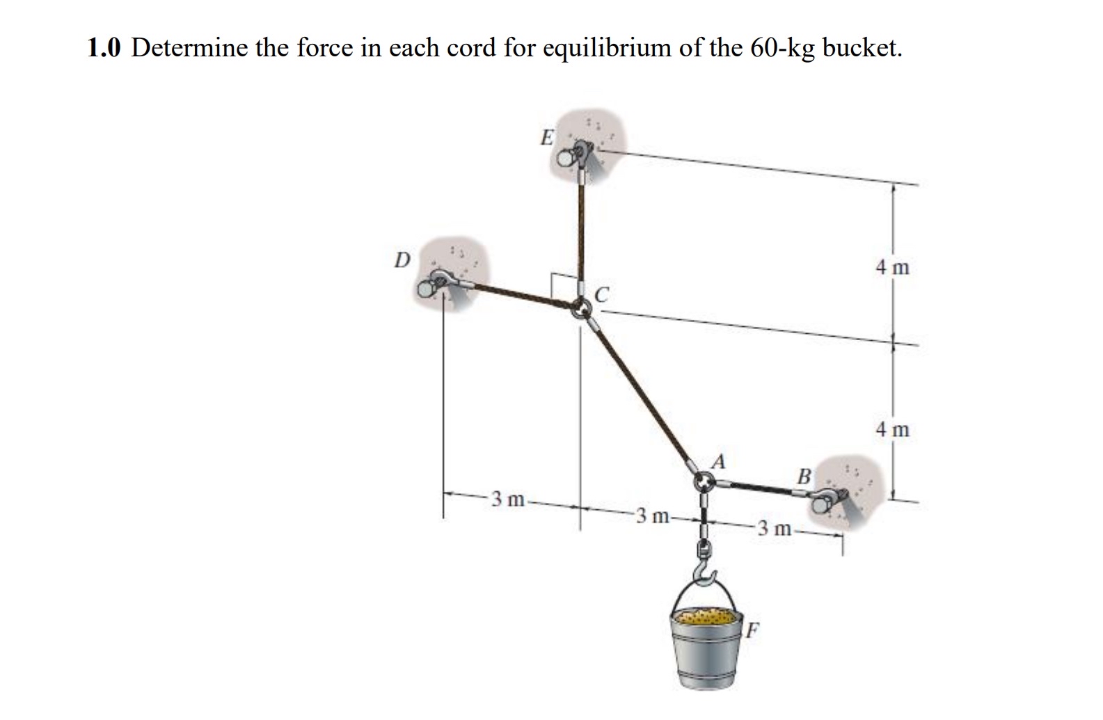 Solved 1.0 ﻿Determine the force in each cord for equilibrium | Chegg.com