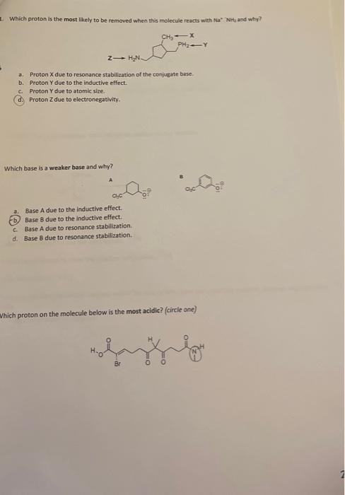 Solved Which proton is the most likely to be removed when | Chegg.com