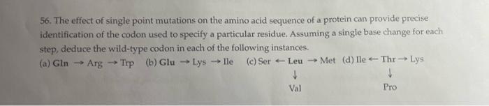 Solved 56. The effect of single point mutations on the amino | Chegg.com