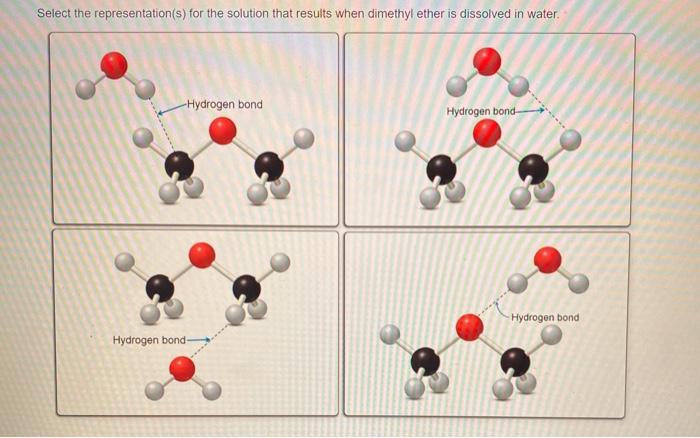 Solved Select the representation(s) for the solution that | Chegg.com
