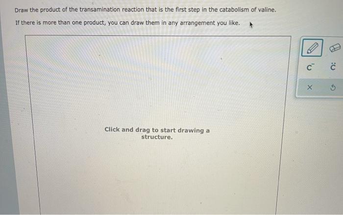 Solved Draw the product of the transamination reaction that | Chegg.com