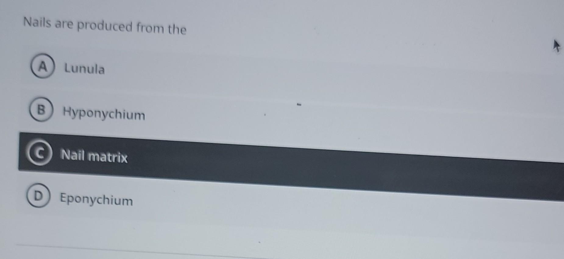 Solved Nails Are Produced From The Lunula Hyponychium Nail Chegg