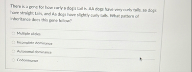 Solved There is a gene for how curly a dog's tall is. ﻿AA | Chegg.com