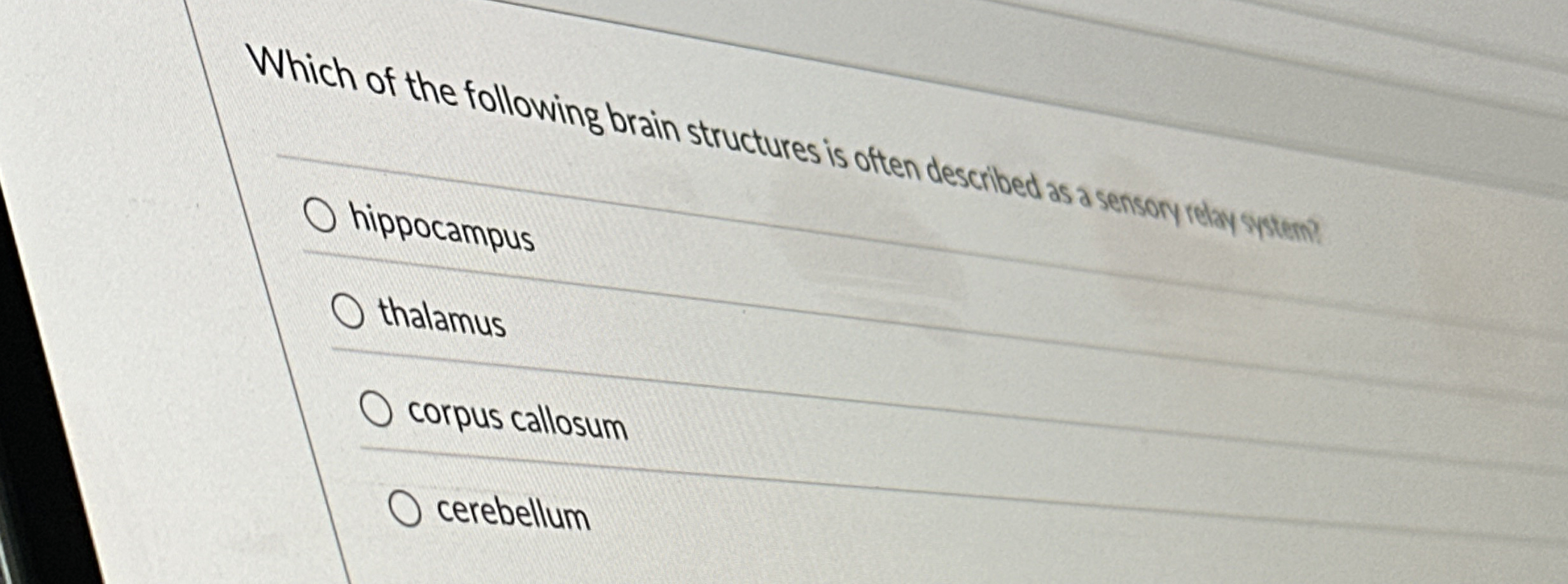 Solved Which of the following brain structures is often | Chegg.com