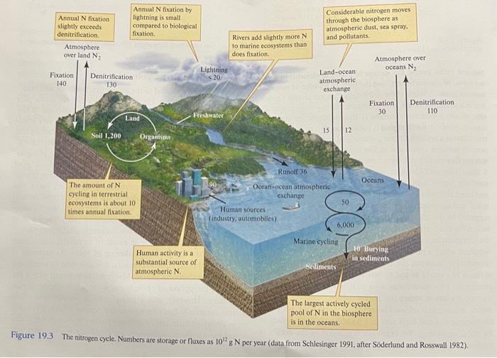 Solved 982, Graham and Duce 1979).Figure tme nurogen cyele. | Chegg.com