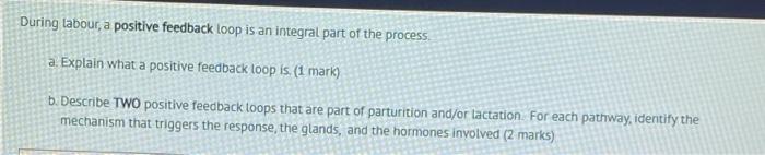 Solved During labour, a positive feedback loop is an | Chegg.com
