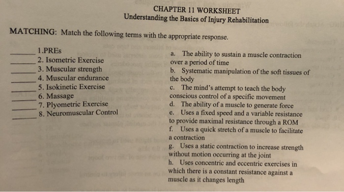Solved CHAPTER 11 WORKSHEET Understanding the Basics of | Chegg.com