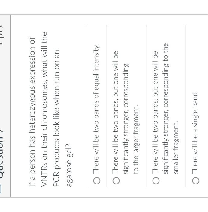 Solved Question 6 1pts Why is RFLP (restriction fragment | Chegg.com
