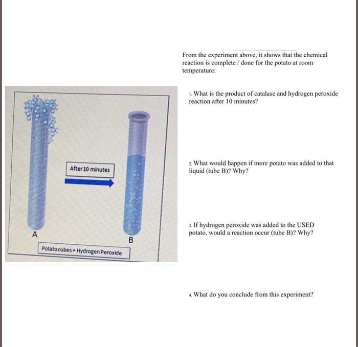 Solved From the experiment above, it shows that the chemical | Chegg.com