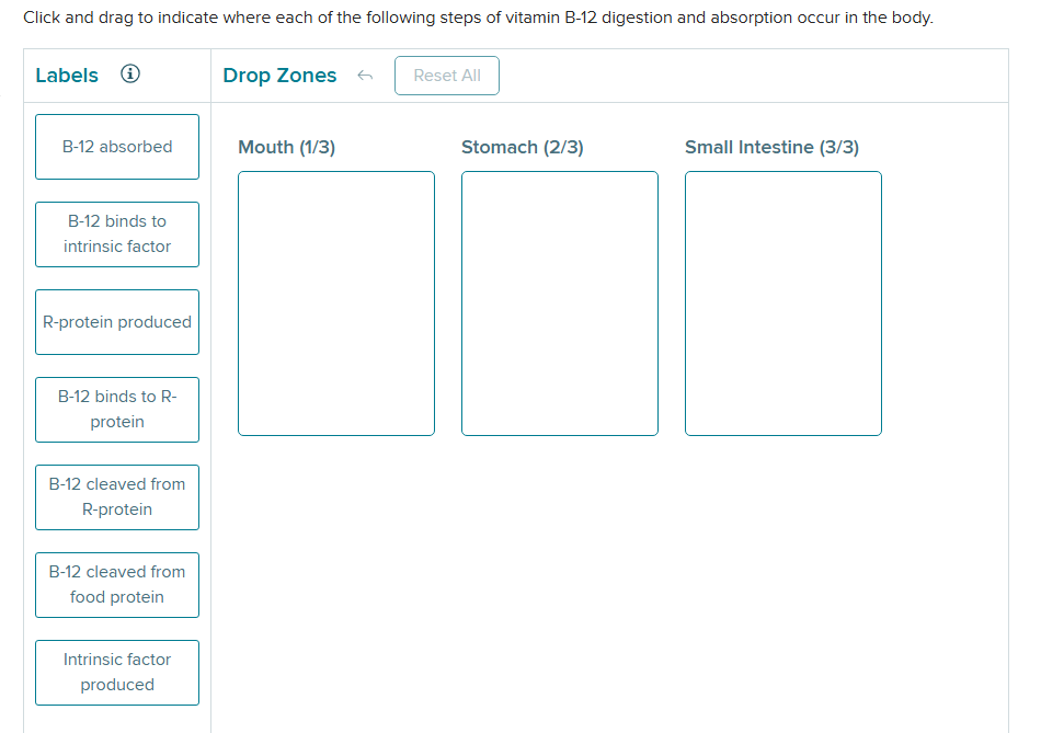 Solved Click and drag to indicate where each of the | Chegg.com