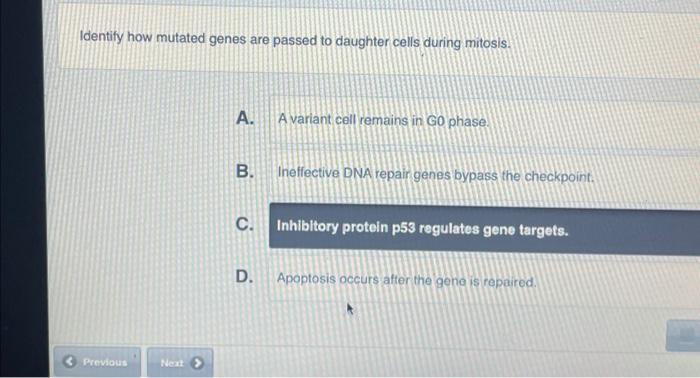 Solved Identify how mutated genes are passed to daughter | Chegg.com
