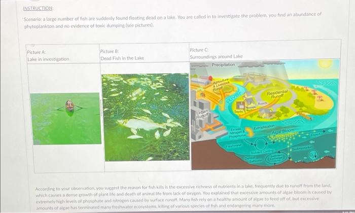 Solved INSTRUCTION Scenario a large number of fish are | Chegg.com