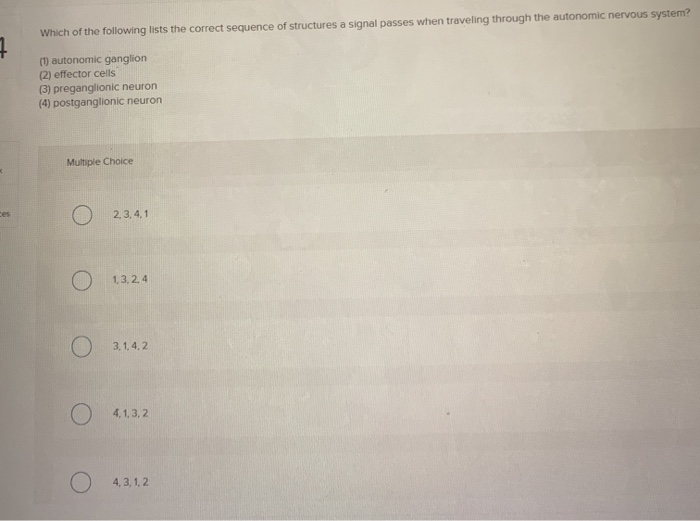 Solved Which of the following lists the correct sequence of | Chegg.com