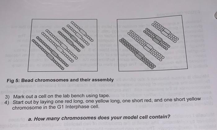 Solved Answer Questions 1-4 Answer Questions 5-7 Answer | Chegg.com