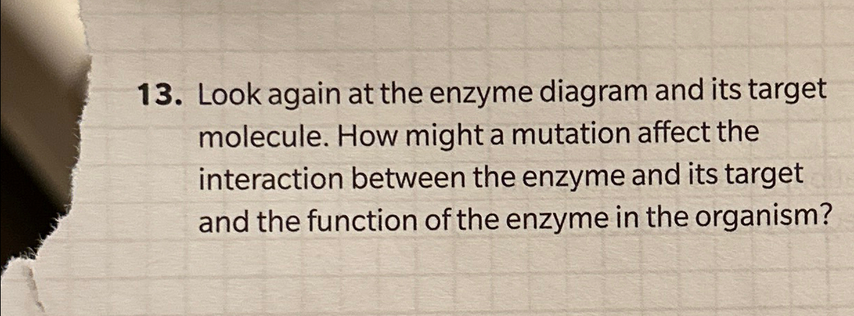Solved Look again at the enzyme diagram and its target | Chegg.com