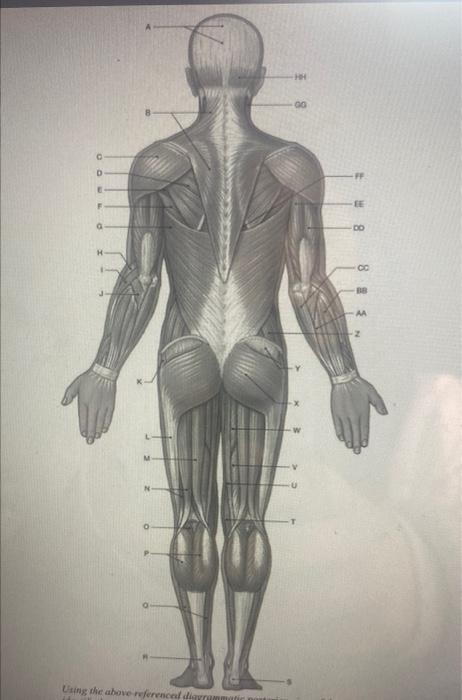 Solved please label | Chegg.com