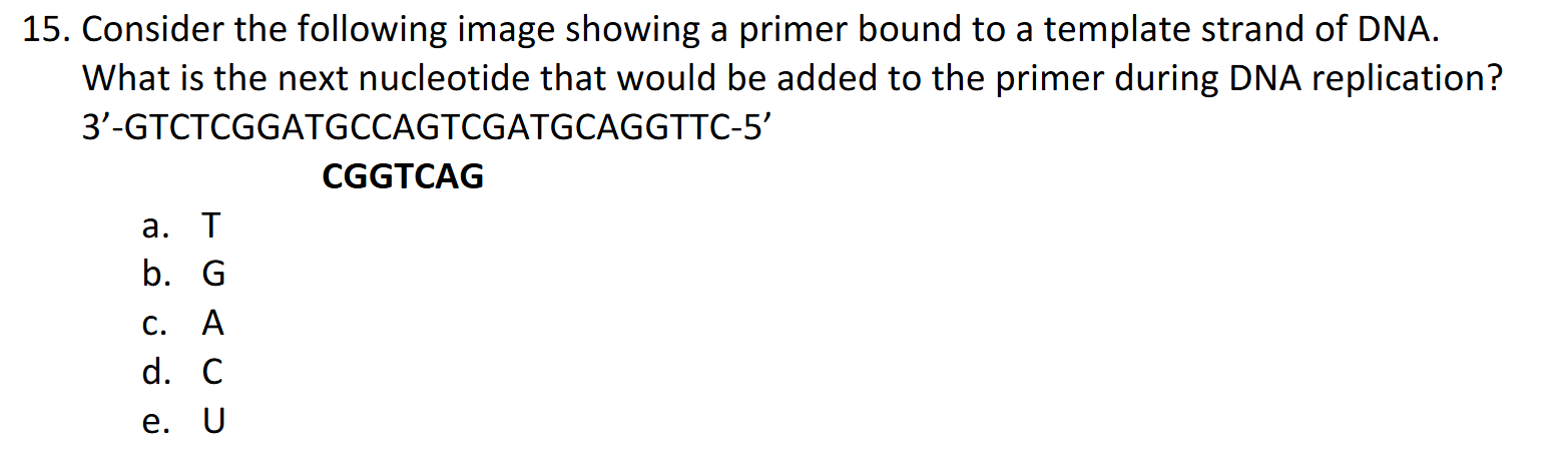 Solved Consider the following image showing a primer bound | Chegg.com