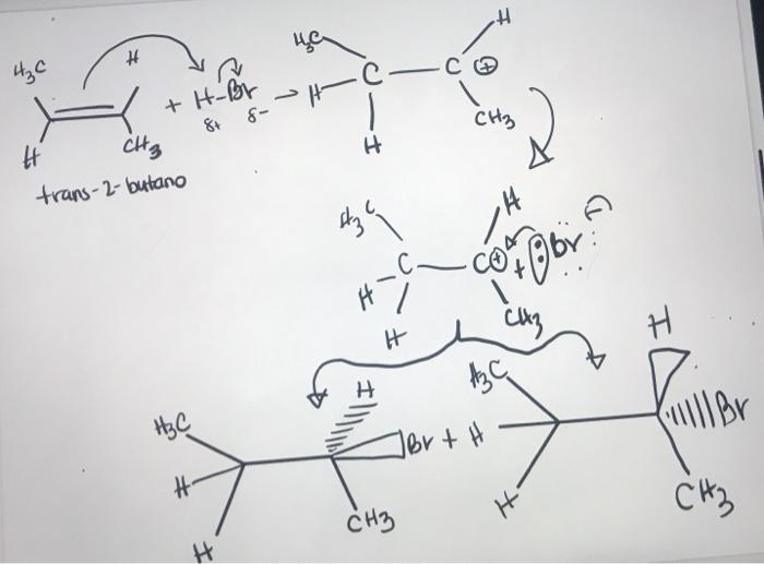 Solved Draw the products when trans-2-butane react with HBr. | Chegg.com
