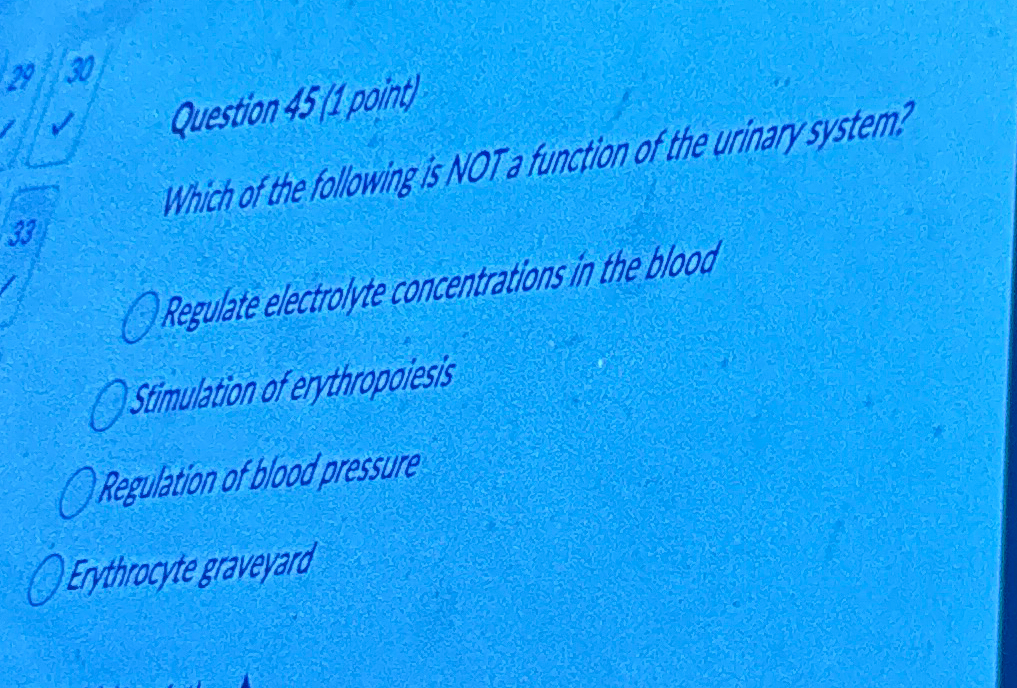 Solved Question 45 (1 ﻿point)Which of the following is NOT a | Chegg.com