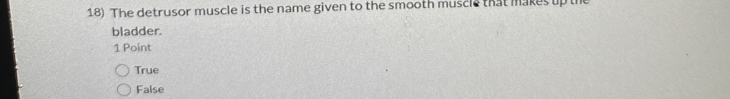 Solved The detrusor muscle is the name given to the smooth | Chegg.com