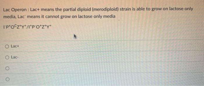 Solved Lac Operon : Lac+ means the partial diploid | Chegg.com