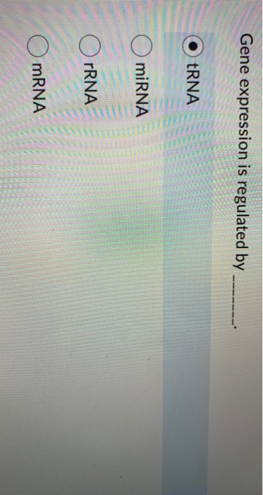 Solved Gene expression is regulated by tRNA miRNA rRNA mRNA | Chegg.com