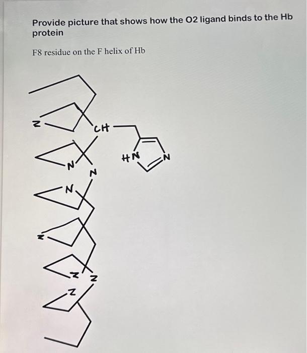 Provide picture that shows how the O2 ligand binds to | Chegg.com