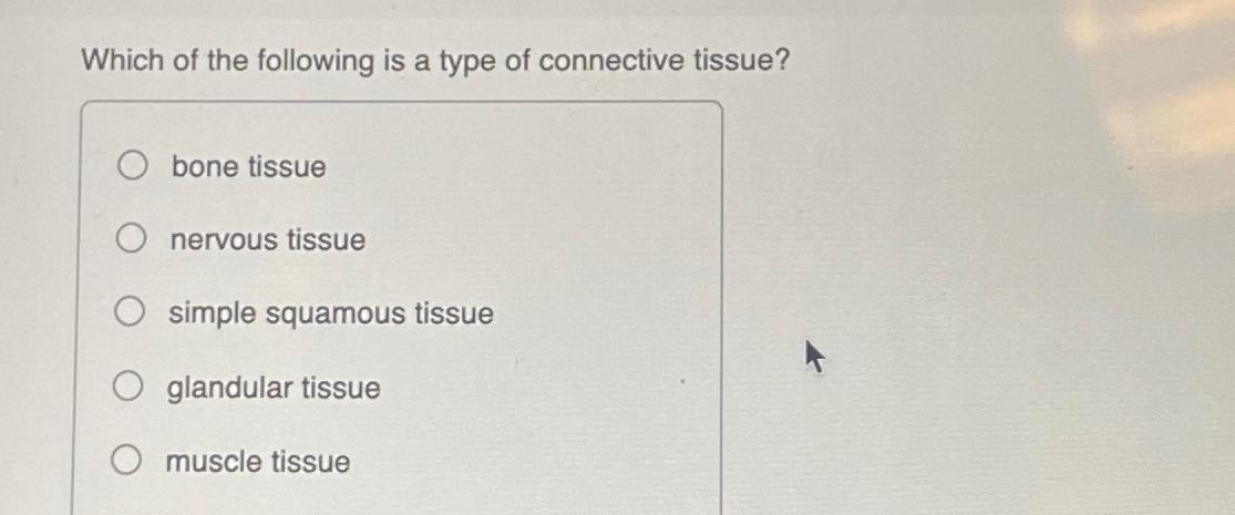 Solved Which of the following is a type of connective | Chegg.com