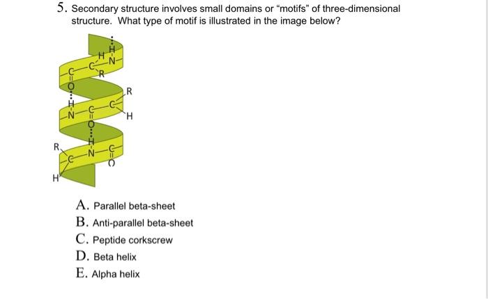 Solved 5. Secondary structure involves small domains or | Chegg.com