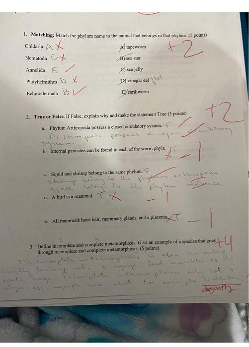 Solved + 2 1. Matching: Match the phylum name to the animal | Chegg.com