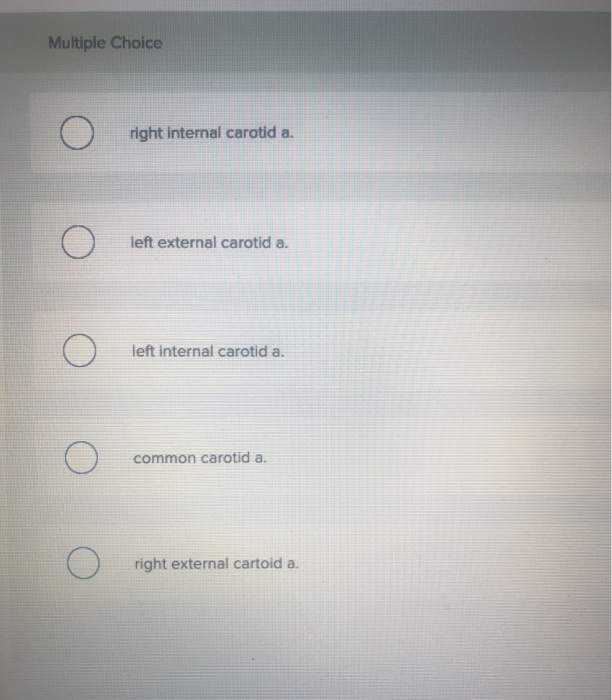 Solved Which structure is highlighted? Multiple Choice | Chegg.com