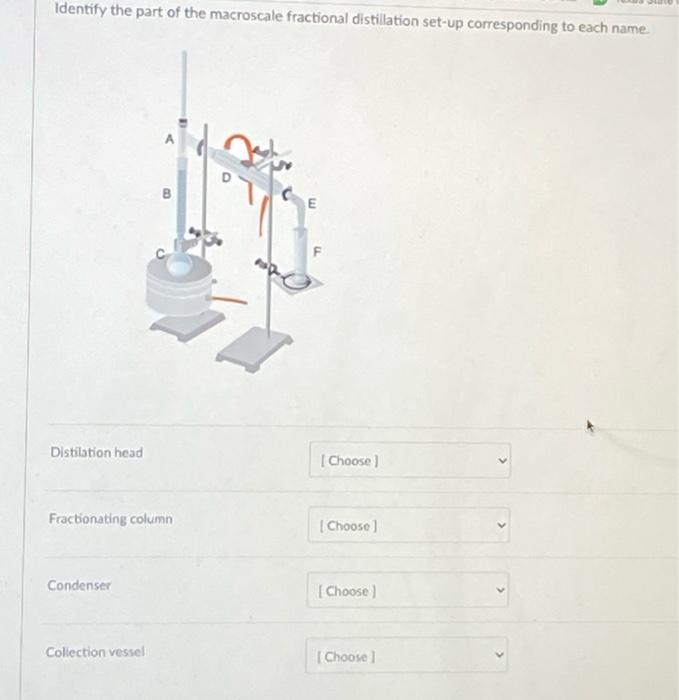 Solved Identify the part of the macroscale fractional | Chegg.com