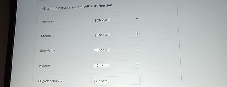 Solved Match the nervous system cell to its | Chegg.com
