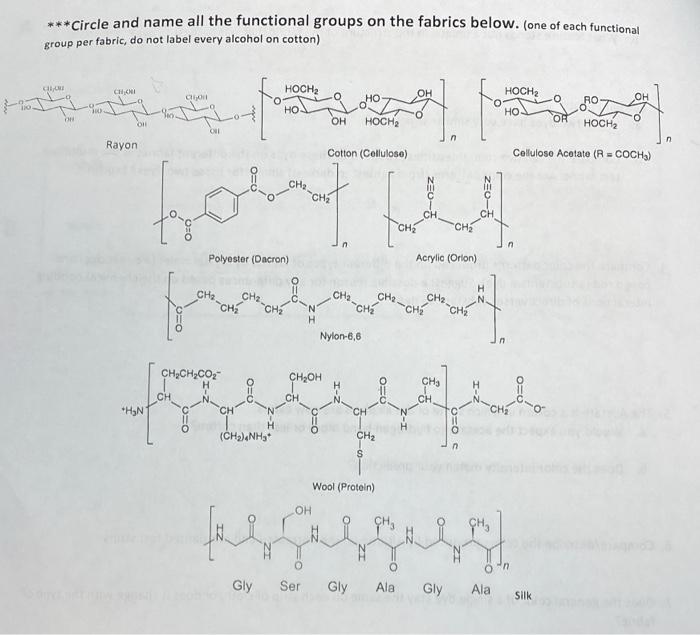 Solved ***Circle and name all the functional groups on the | Chegg.com
