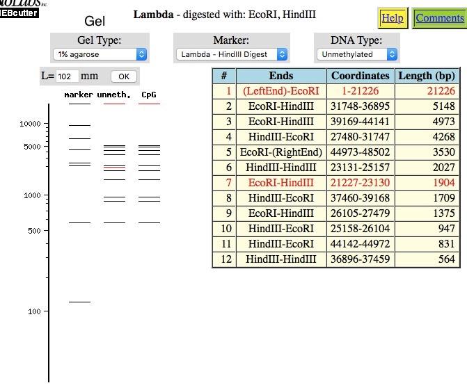 Enzyme Specificity Cuts % activity in 1.1 2.1 3.1 CS | Chegg.com