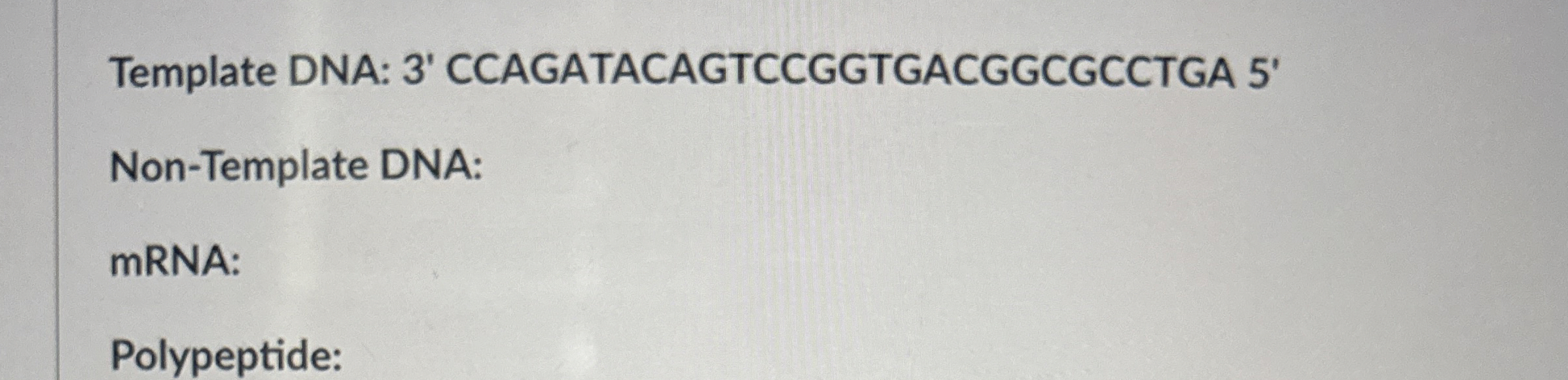Solved Template DNA: 3' ﻿CCAGATACAGTCCGGTGACGGCGCCTGA | Chegg.com