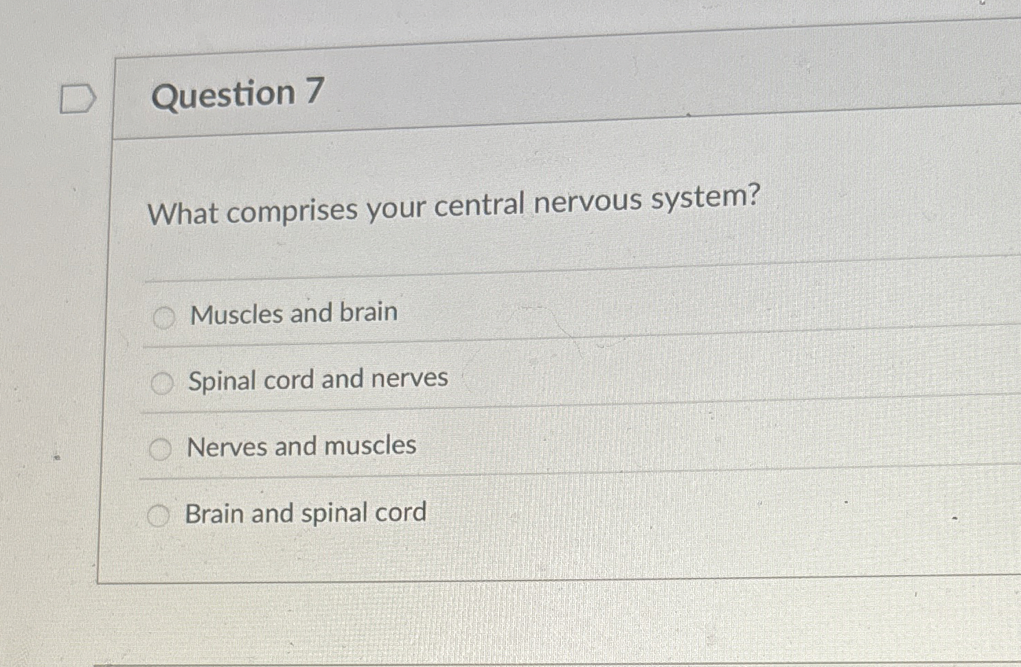 Solved Question 7What comprises your central nervous | Chegg.com