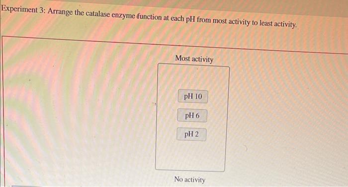 Solved Experiment 3: Arrange the catalase function at each | Chegg.com