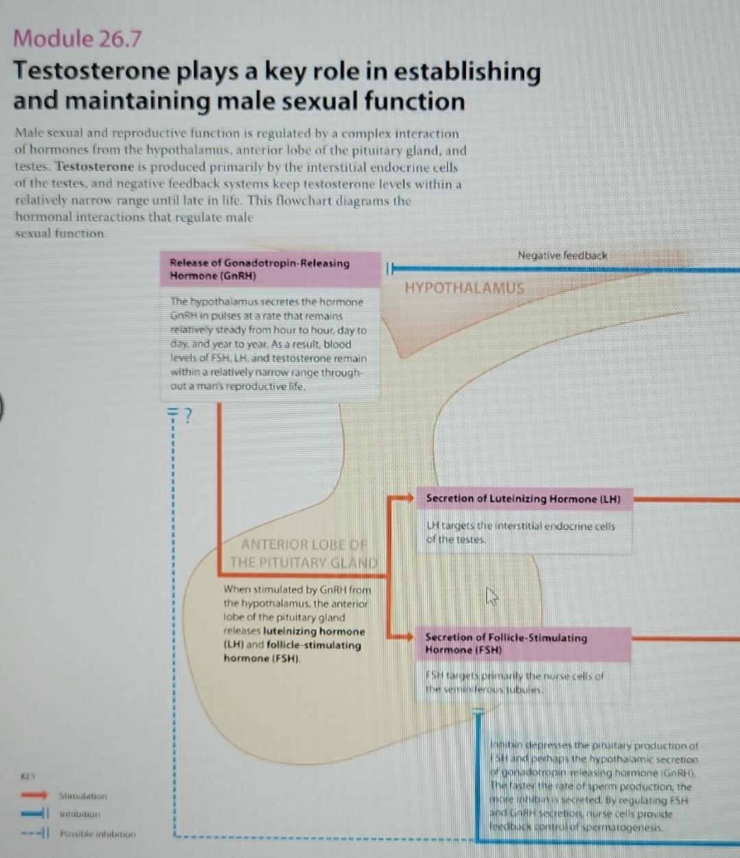 Solved Read about steroid hormones in Mods. 16.2,16.10, and | Chegg.com