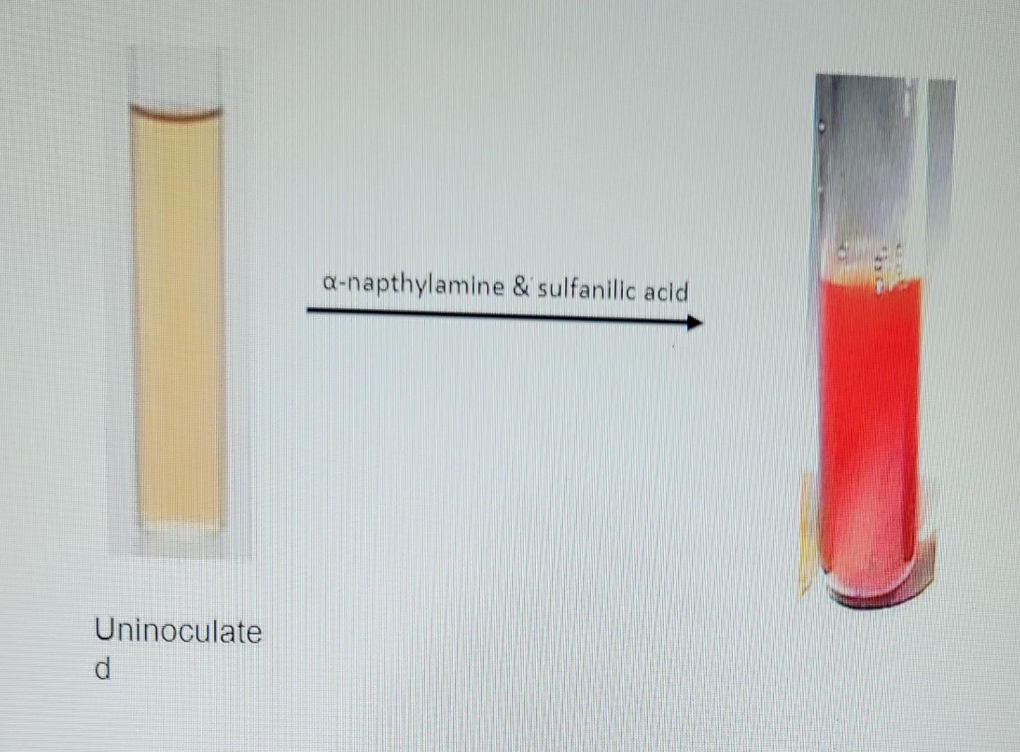 Solved Mixed Unknown Identification Form Unknown 'Patient | Chegg.com