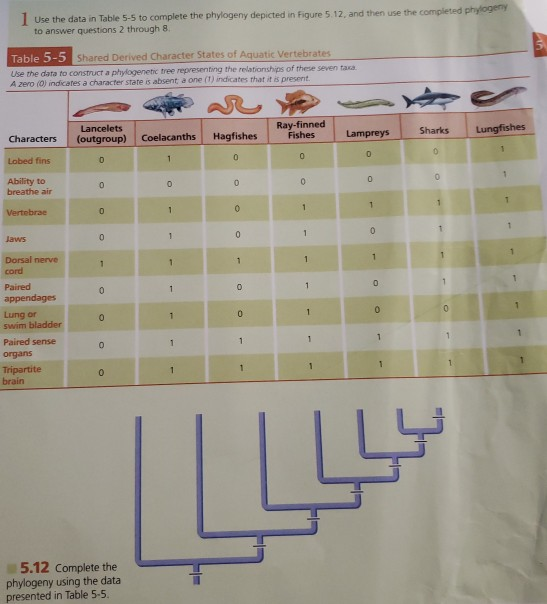 Solved 1 Use the data in Table 5-S to complete the phylogeny | Chegg.com