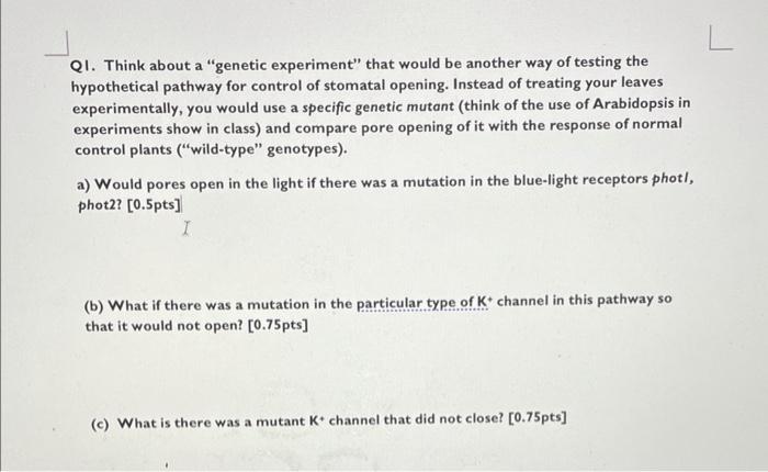 Solved QI. Think about a "genetic experiment" that would be | Chegg.com