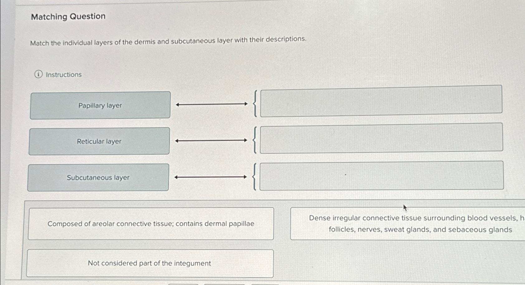 Solved Matching QuestionMatch the individual layers of the | Chegg.com